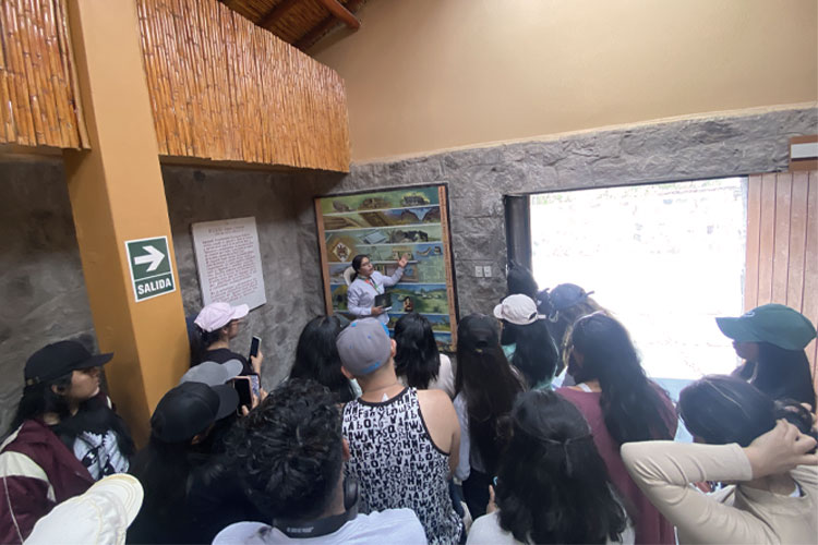 PIKIMACHAY Y COMPLEJO ARQUEOLÓGICO WARI - IESP